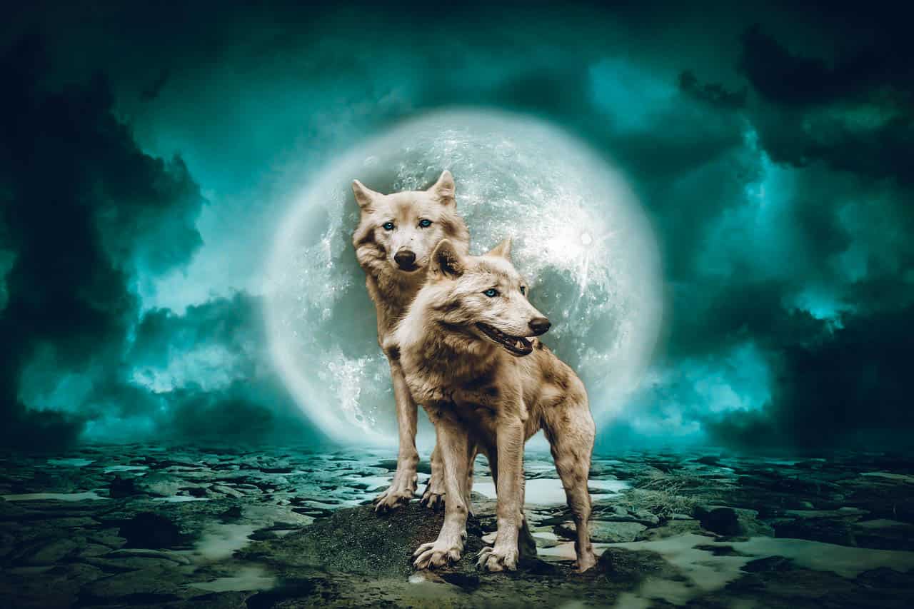 Spirit Guides and Their Warning Signs - PsychicOz